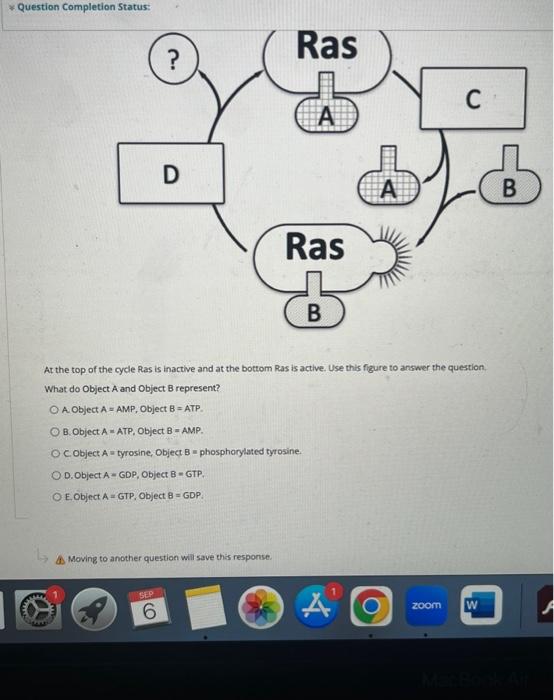 Solved The diagram below represents the cycle of Ras | Chegg.com