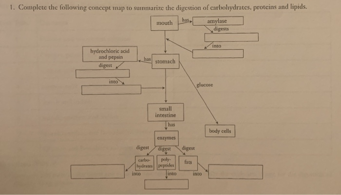 Solved 1. Complete the following concept map to summarize | Chegg.com