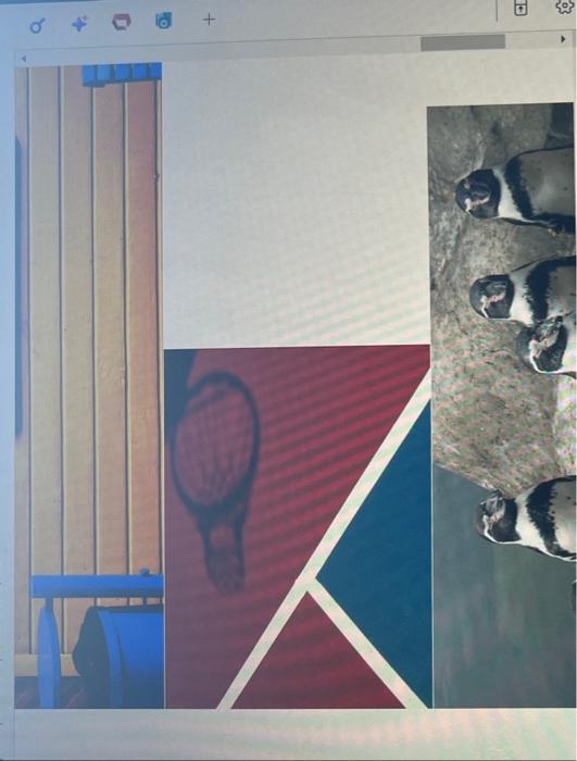 Solved CSI 140 webedeveloper. How to compile and fix | Chegg.com