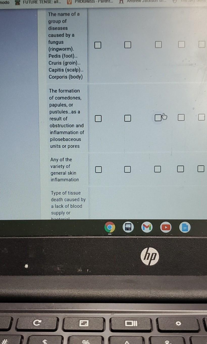 Solved Acne Basal Cell Carcinoma Cellulitis Dermatitis | Chegg.com