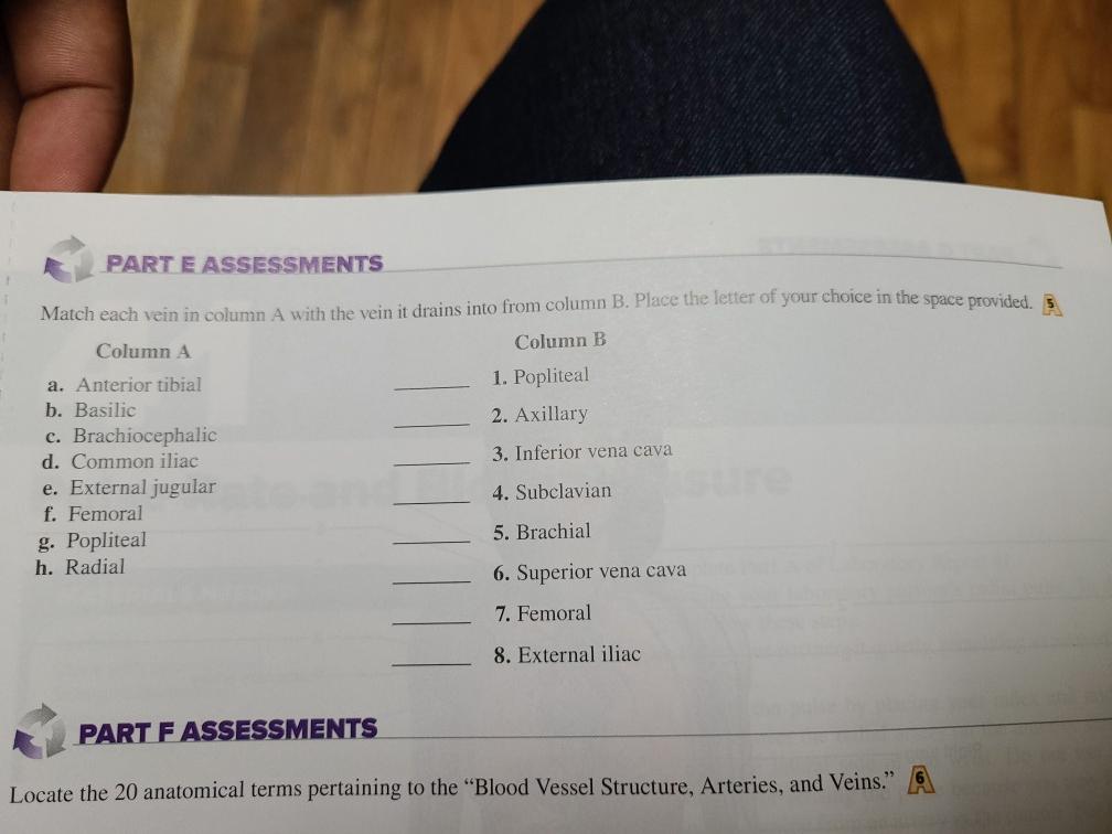 Solved PART E ASSESSMENTS Match each vein in column A with | Chegg.com