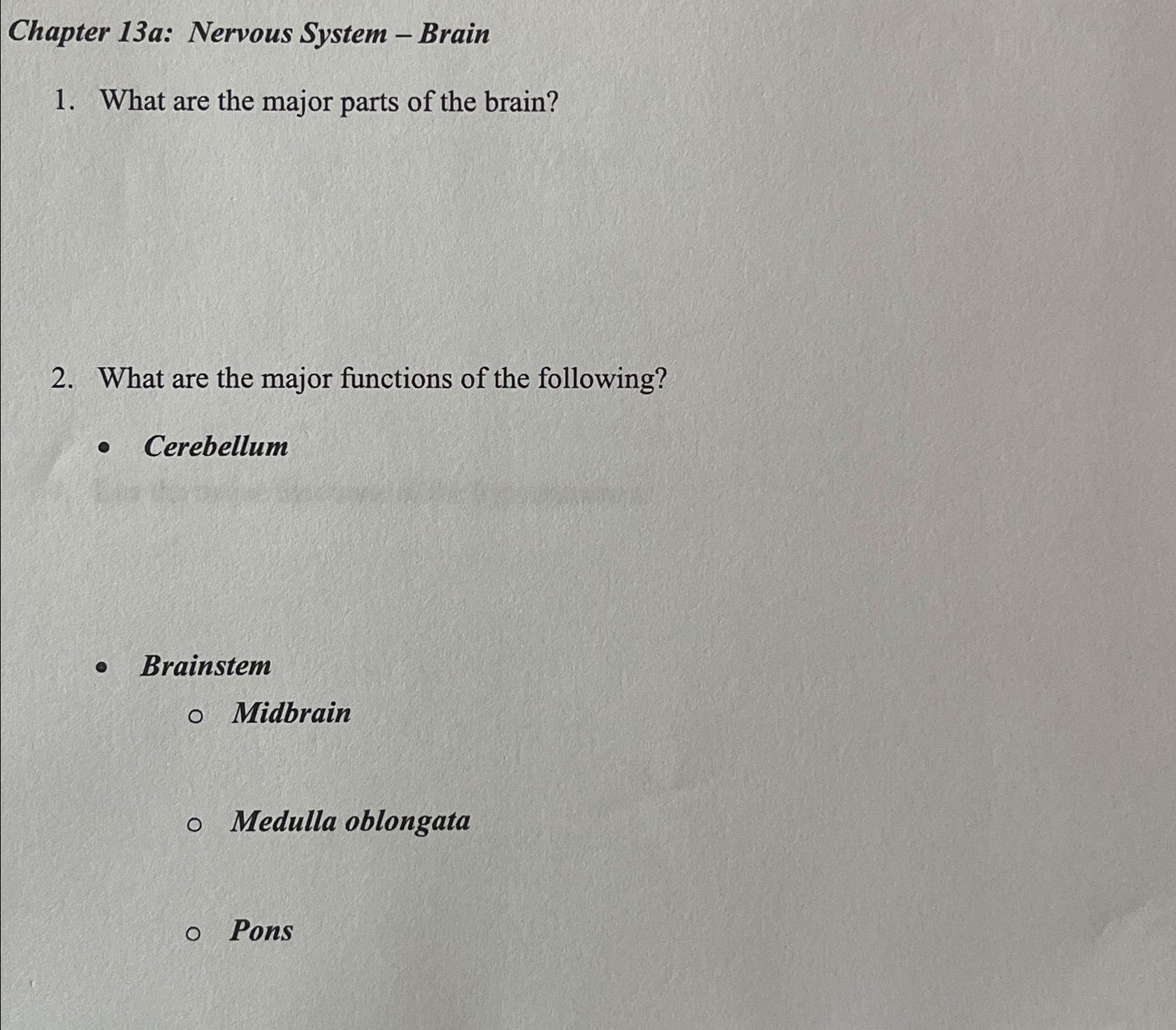 Solved Chapter 13a: Nervous System - ﻿BrainWhat are the | Chegg.com