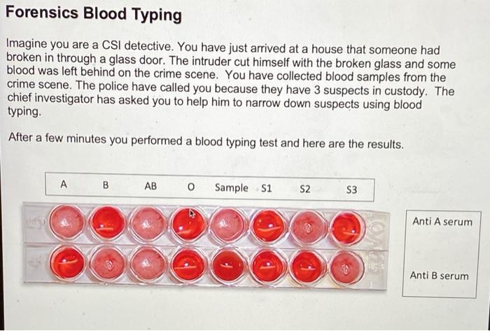 Solved Forensics Blood Typing Imagine you are a CSI | Chegg.com