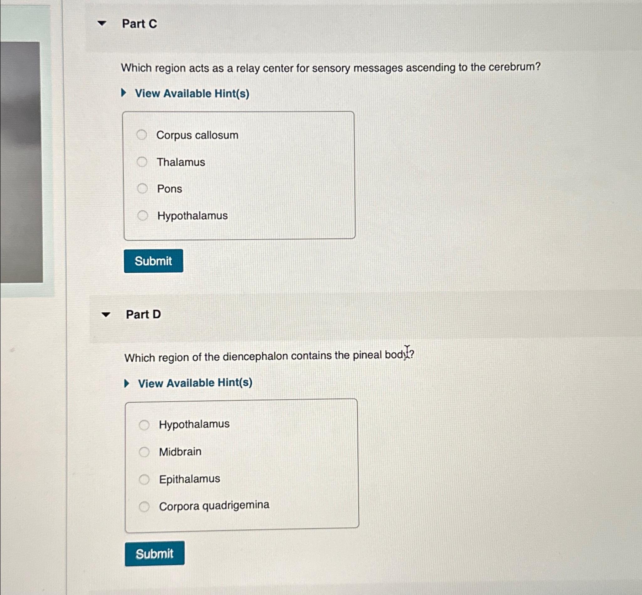 Solved Part CWhich region acts as a relay center for sensory | Chegg.com