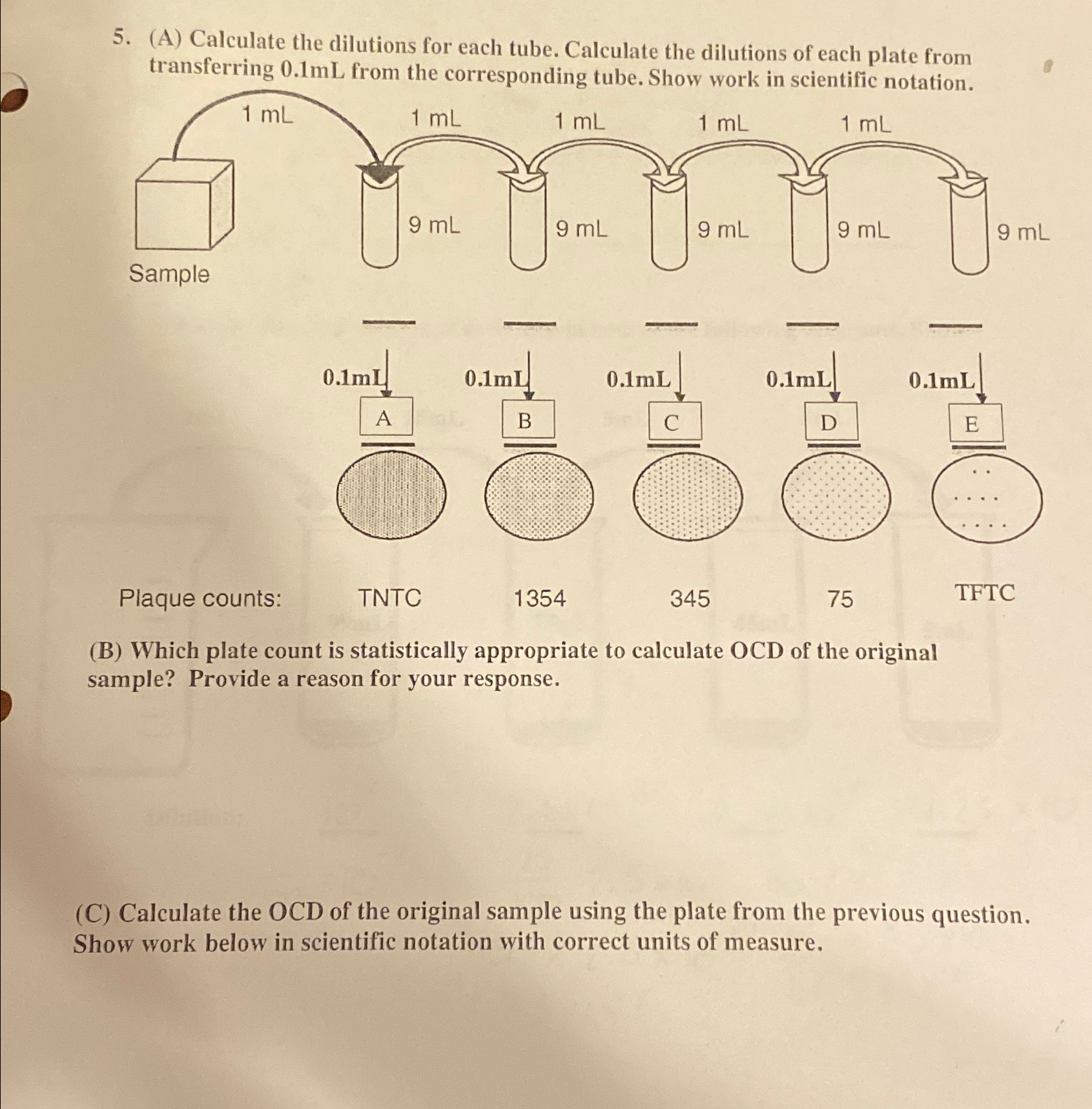 Solved (A) ﻿Calculate the dilutions for each tube. Calculate | Chegg.com