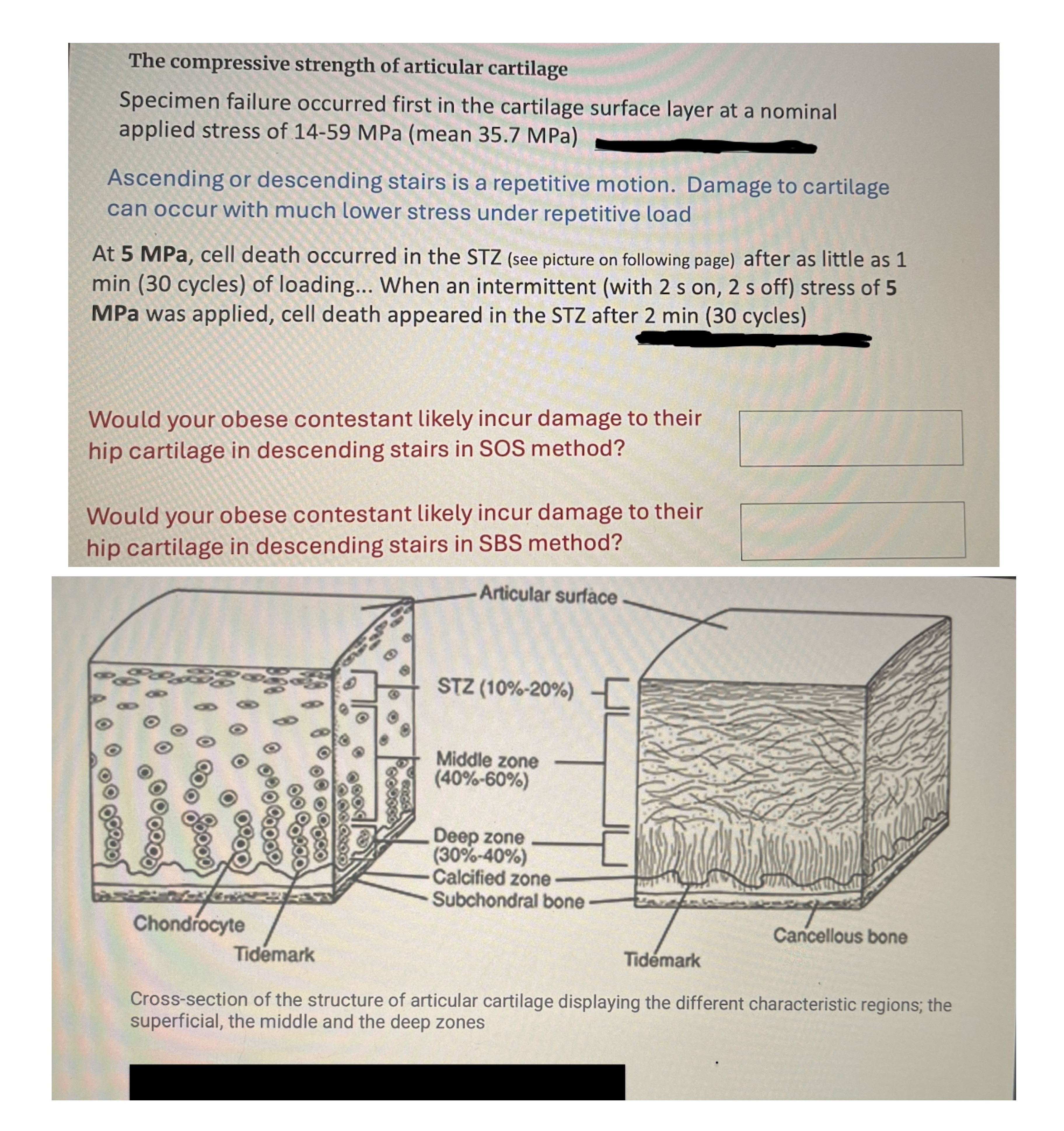 Solved PLEASE READ EVERYTHING CAREFULLY AND ANSWER EACH | Chegg.com
