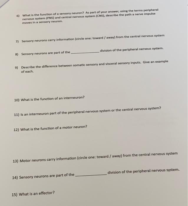 Solved Introduction to Nervous System Lab Part 1: | Chegg.com