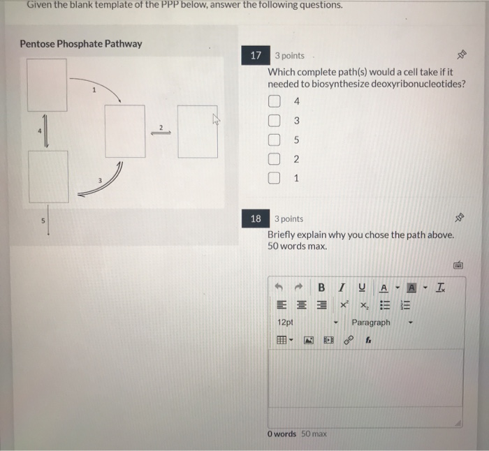 Solved Given the blank template of the PPP below, answer the | Chegg.com
