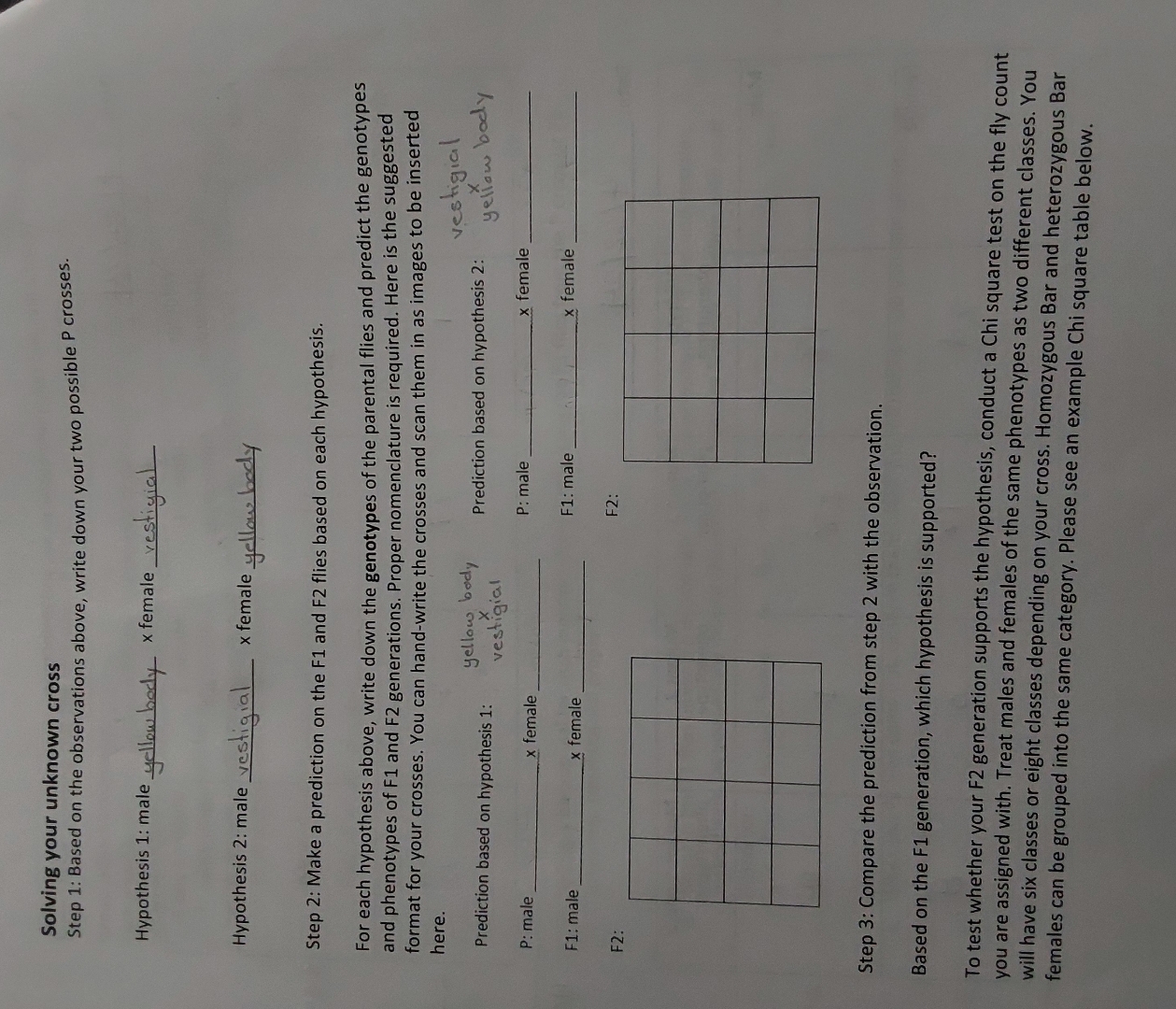 Solved Solving your unknown crossStep 1: Based on the | Chegg.com