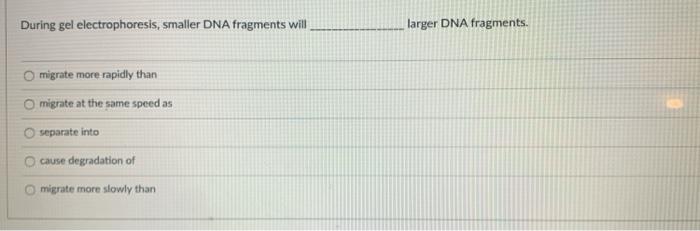 Solved During gel electrophoresis, smaller DNA fragments | Chegg.com