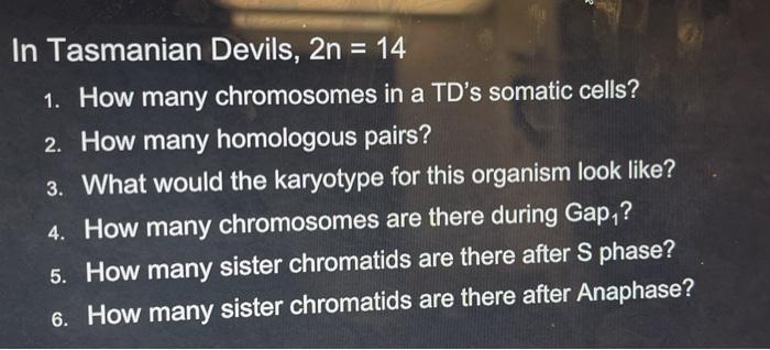 Solved In Tasmanian Devils, 2n = 14 1. How many chromosomes | Chegg.com