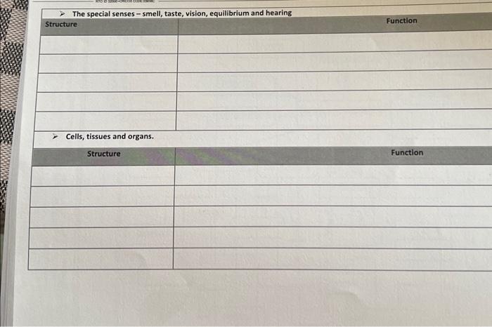 Solved Question PC 1.1 Objective : Work with information | Chegg.com
