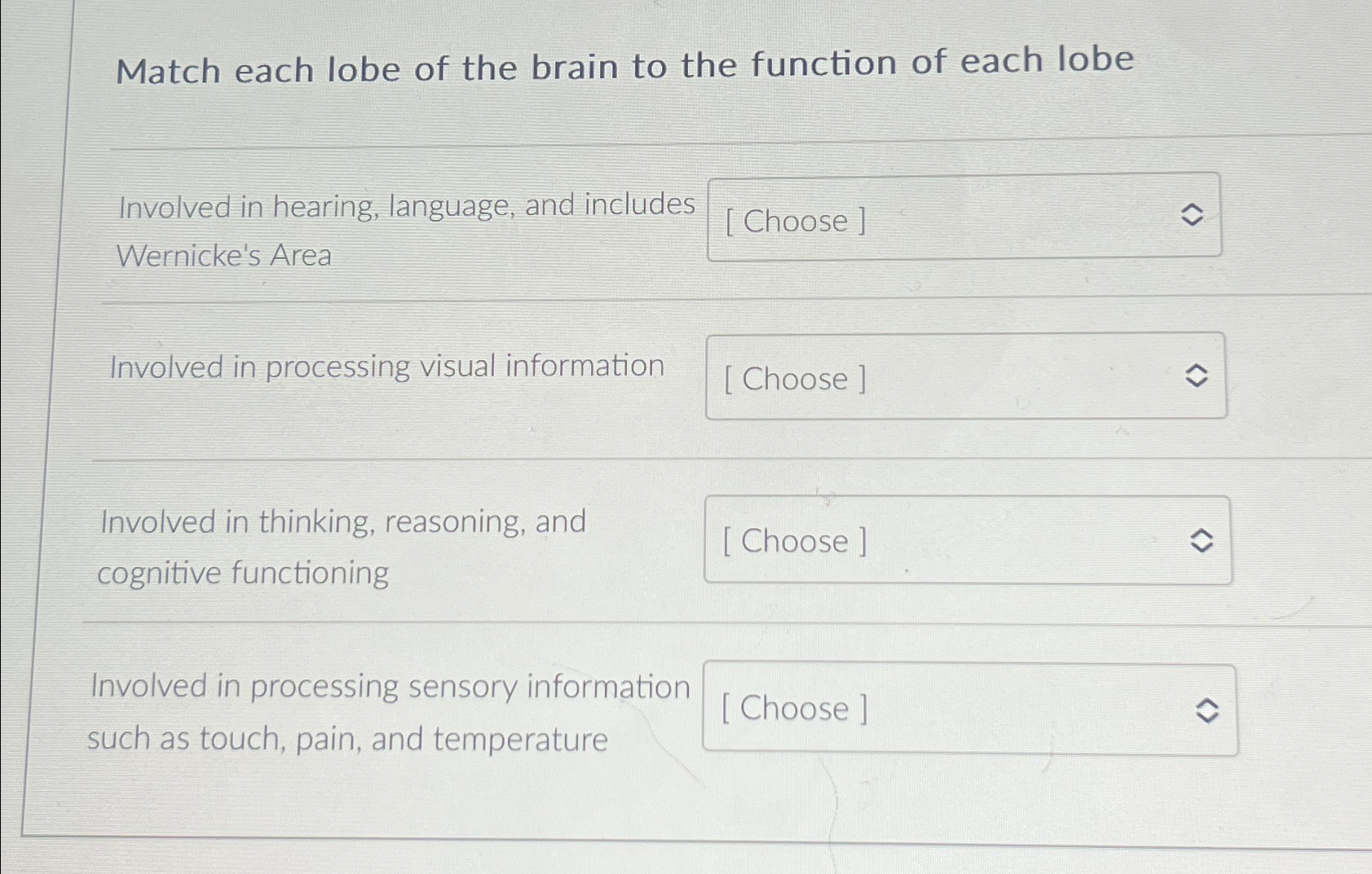 Solved Match each lobe of the brain to the function of each | Chegg.com