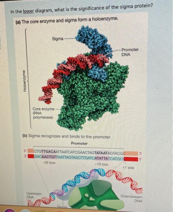 Solved In the lower diagram, what is the significance of the | Chegg.com