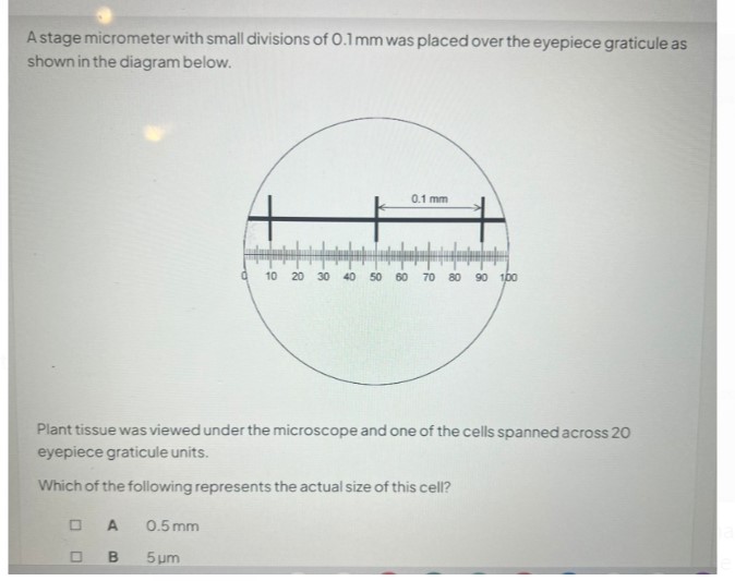 Solved A stage micrometer with small divisions of 0.1mm ﻿was | Chegg.com