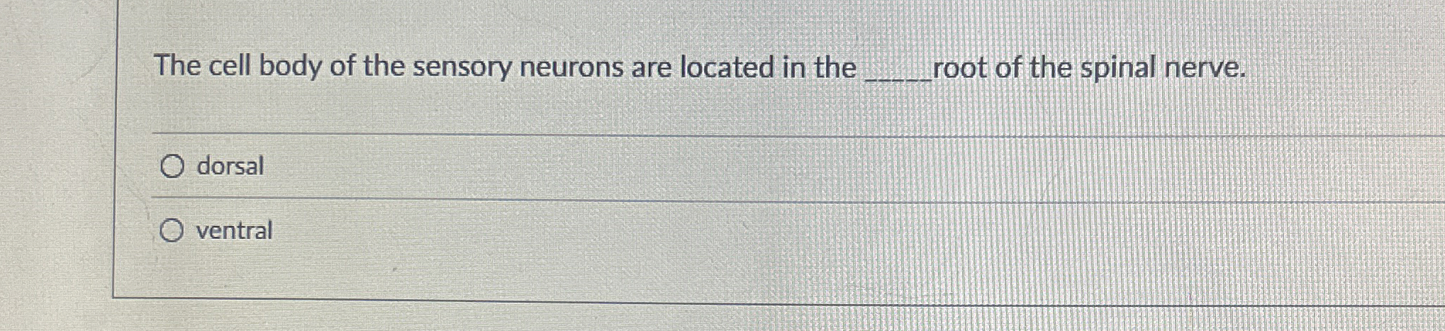 High Quality SOLUTION The cell body of the sensory neurons are located in | Chegg.com