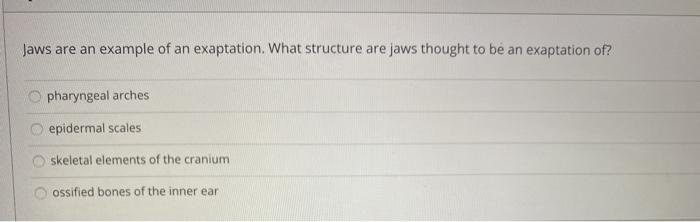 Solved Jaws are an example of an exaptation. What structure | Chegg.com