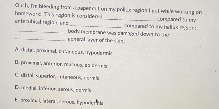 Solved Ouch, I'm bleeding from a paper cut on my pollex | Chegg.com