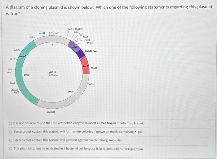 A diagram of a cloning plasmid is shown below. Which | Chegg.com