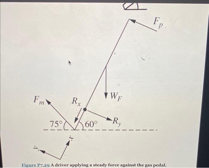 Solved 7-29. A driver applies a steady force of FP=40 N | Chegg.com