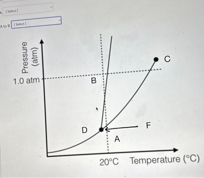 Solved Examine the following phase diagram and identify the | Chegg.com