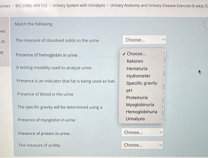 Solved rses > BSC2086L APII F22 > Urinary System with | Chegg.com