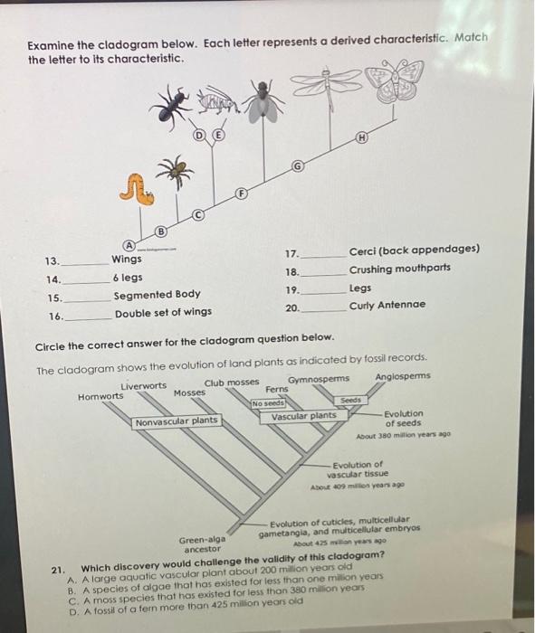 Solved Examine the cladogram below. Each letter represents a | Chegg.com