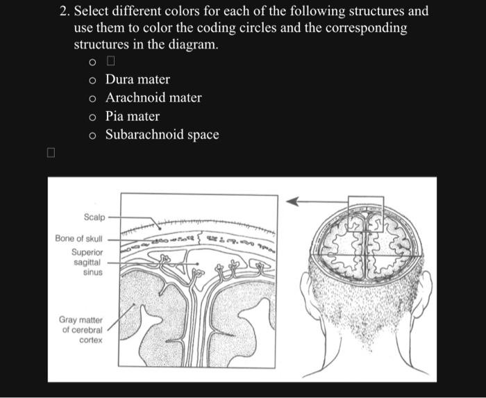 Solved 2. Select different colors for each of the following | Chegg.com