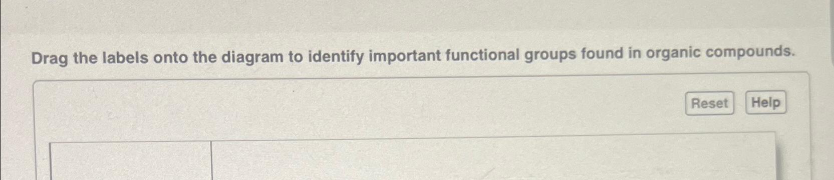 Drag the labels onto the diagram to identify | Chegg.com