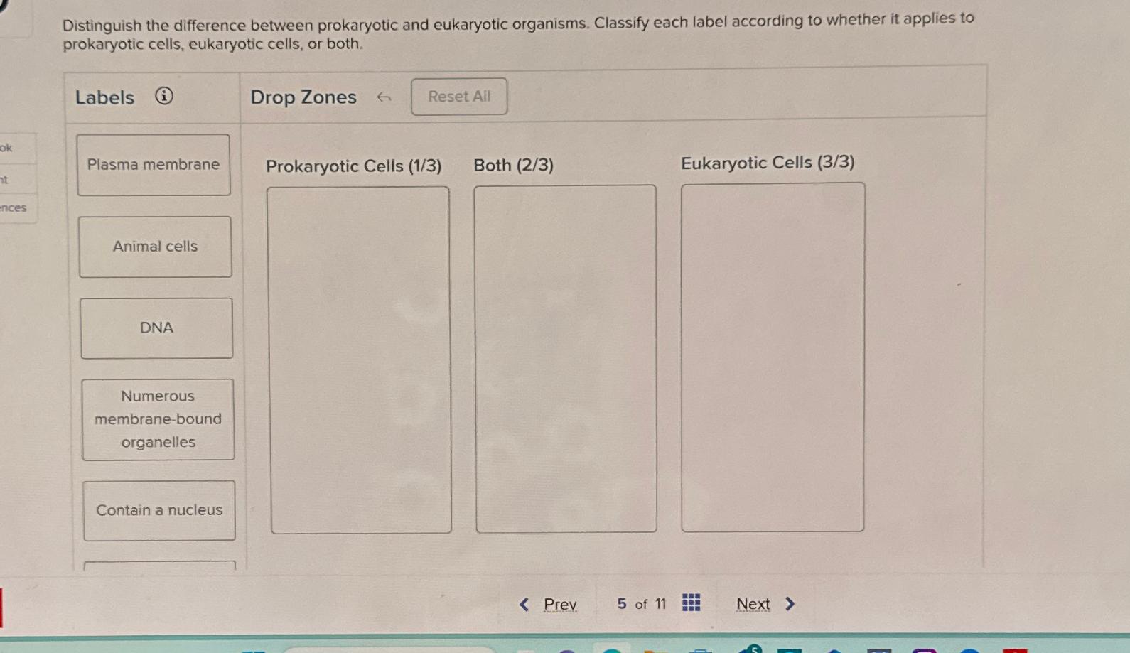 Solved Distinguish the difference between prokaryotic and | Chegg.com