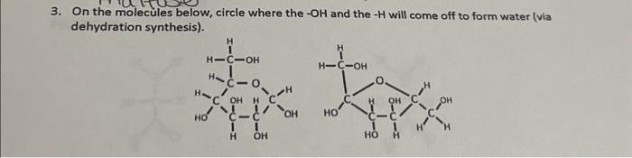 Solved 3. On the molecules below, circle where the -OH and | Chegg.com