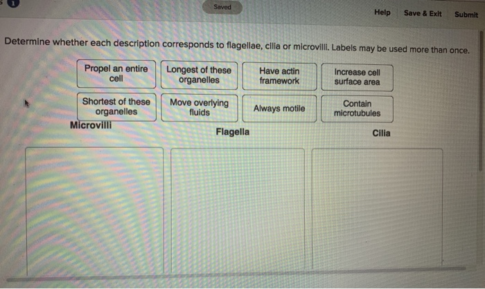 Solved Saved Help Save & Exit Submit Determine whether each | Chegg.com