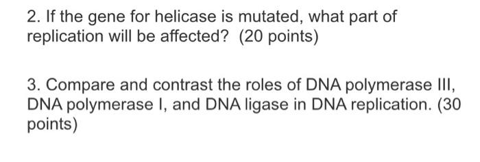 Solved 2. If the gene for helicase is mutated, what part of | Chegg.com