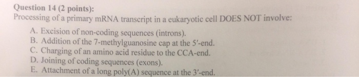 Solved Question 14 (2 points): Processing of a primary mRNA | Chegg.com
