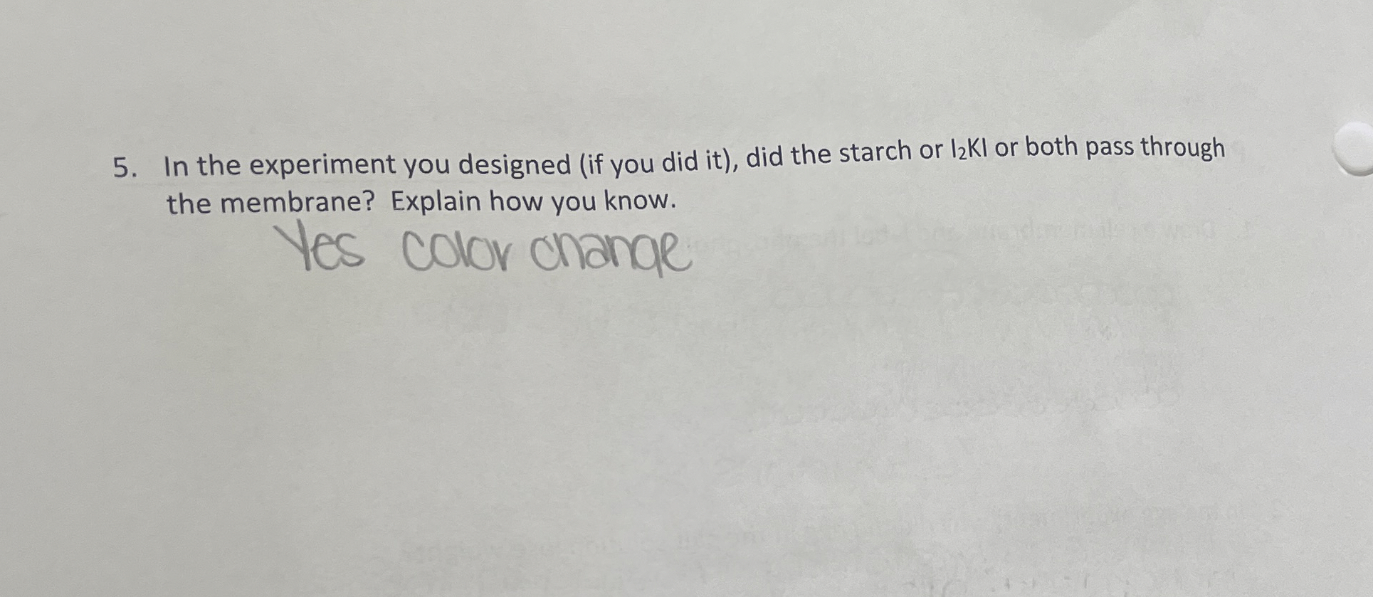 Solved In the experiment you designed (if you did it), ﻿did | Chegg.com