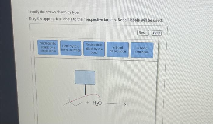 Solved Identify the arrows shown by type. Drag the | Chegg.com