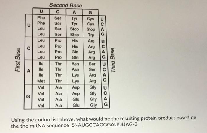 Solved Introns in pre-mRNA: code for portions of the final | Chegg.com