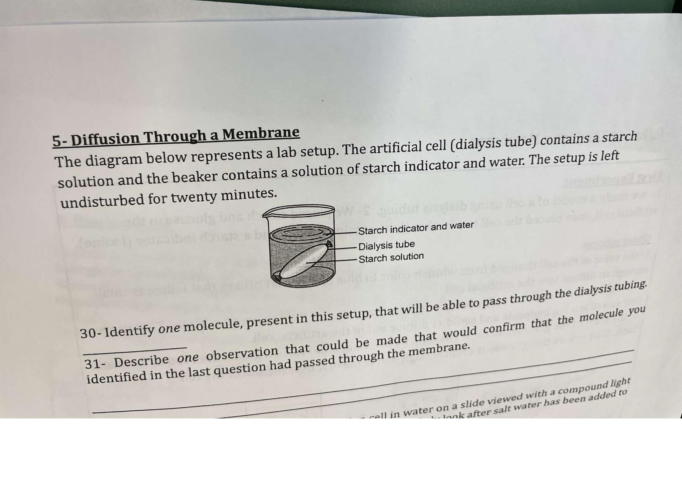 Solved 5-Diffusion Through a MembraneThe diagram below | Chegg.com