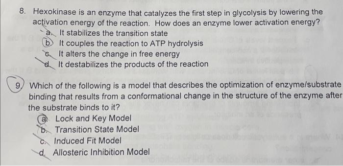 Solved 8. Hexokinase is an enzyme that catalyzes the first | Chegg.com