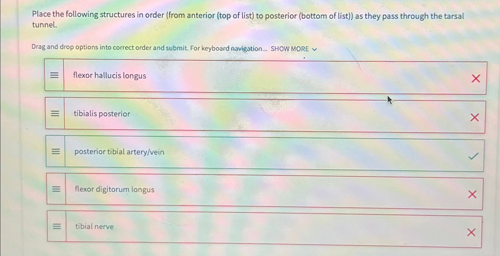 Solved Place the following structures in order (from | Chegg.com
