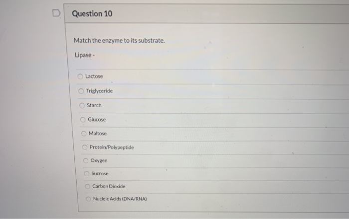 Solved Question 10 Match the enzyme to its substrate. Lipase | Chegg.com