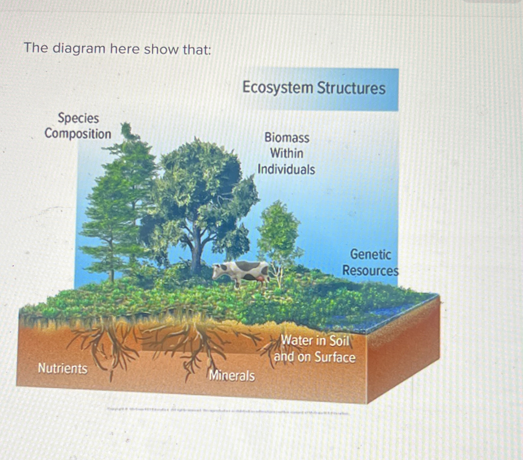 Solved The diagram here show that:- ﻿ecosystem functions | Chegg.com