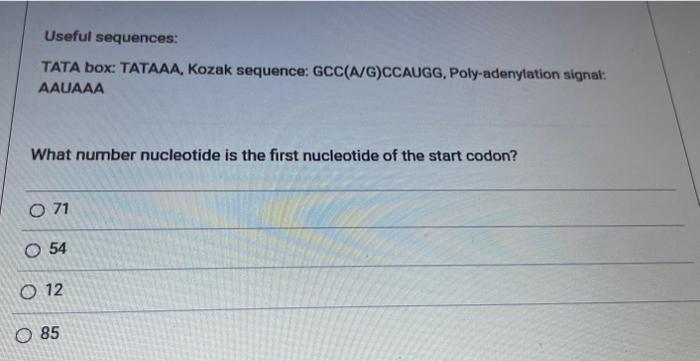 Solved The DNA sequence below comes from the coding strand | Chegg.com