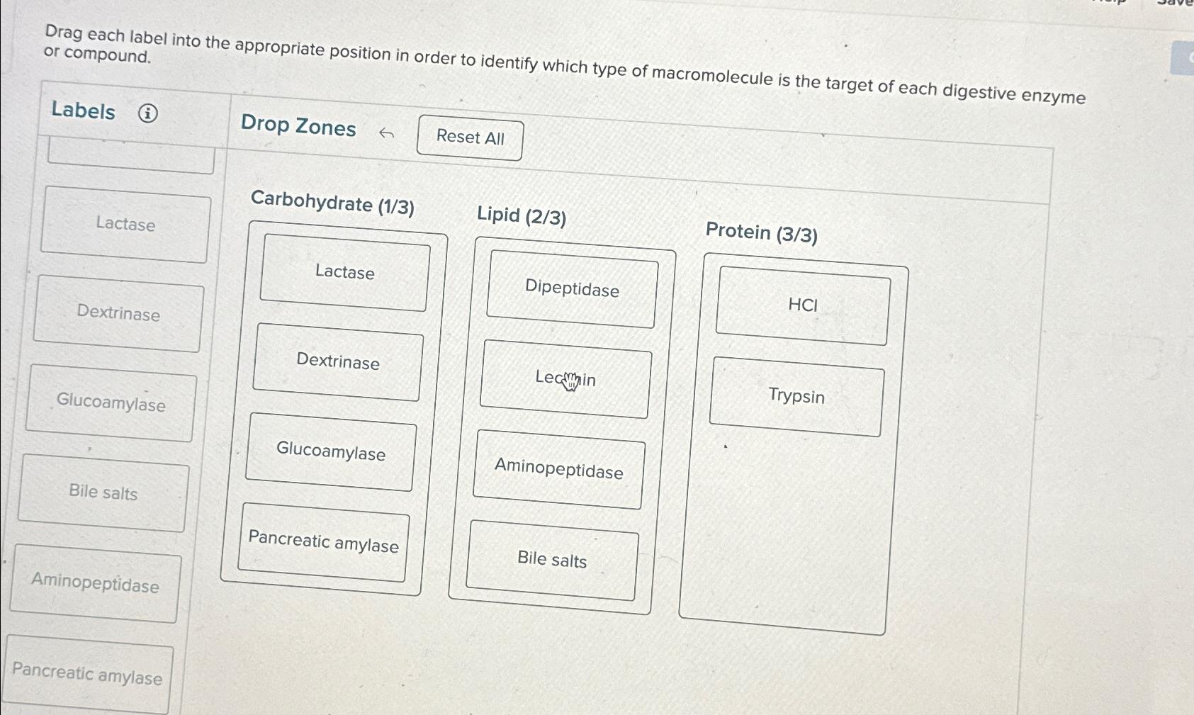 Solved Drag each label into the appropriate position in | Chegg.com