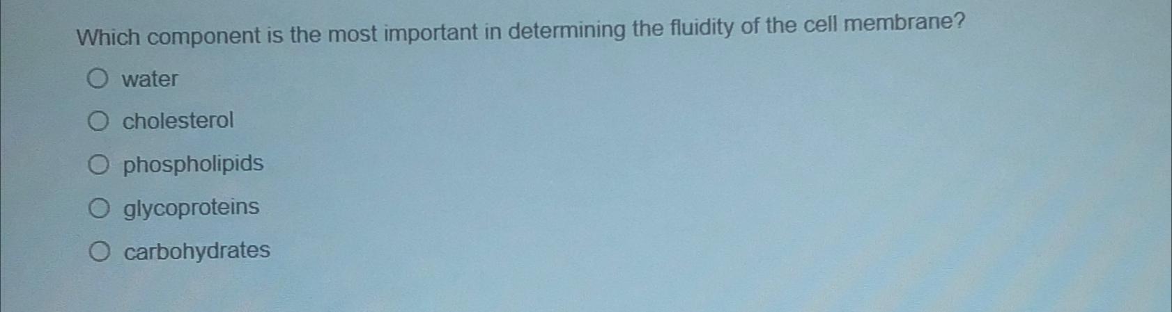 Solved Which component is the most important in determining | Chegg.com
