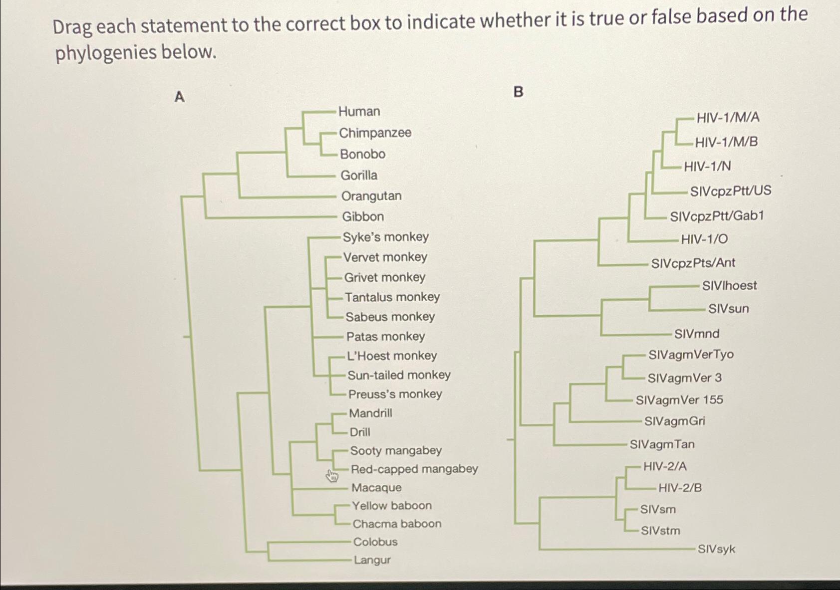 Solved Drag each statement to the correct box to indicate | Chegg.com