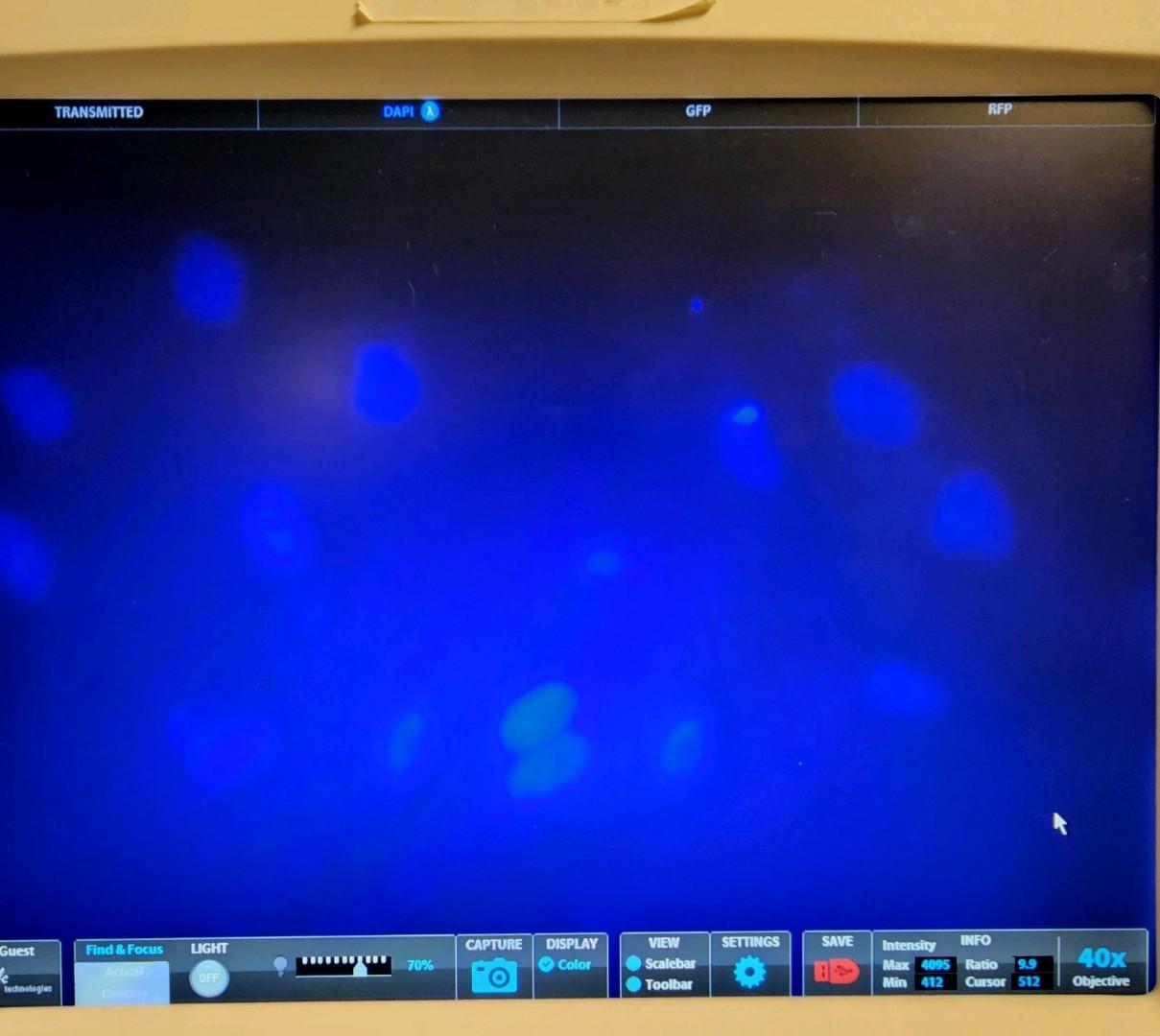 Solved 8: Acquiring Images with EVOS Microscope Lab Goal: - | Chegg.com