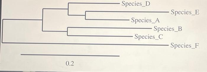 In addition to inferring relationships among species, | Chegg.com