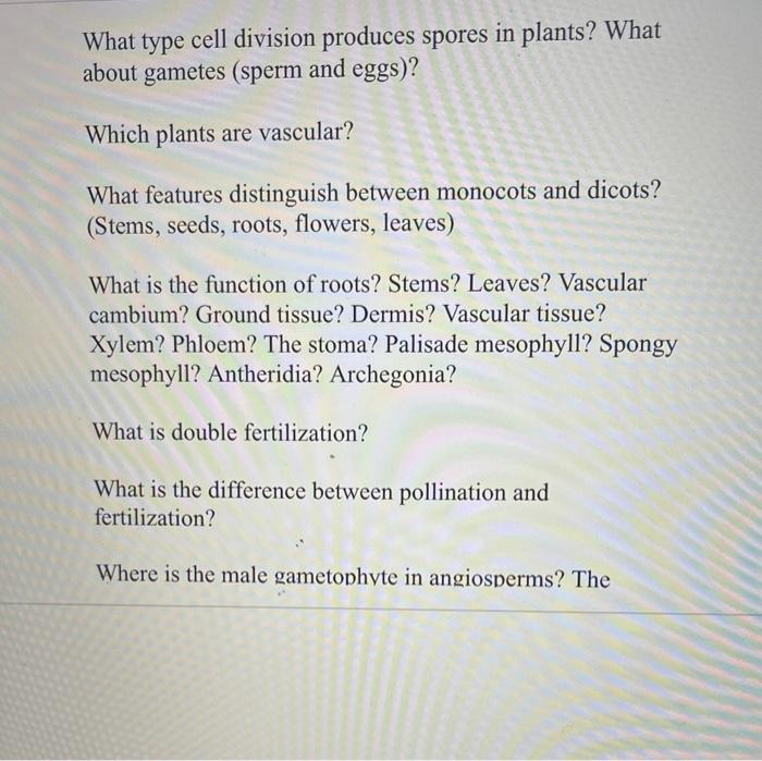 Solved What type cell division produces spores in plants? | Chegg.com