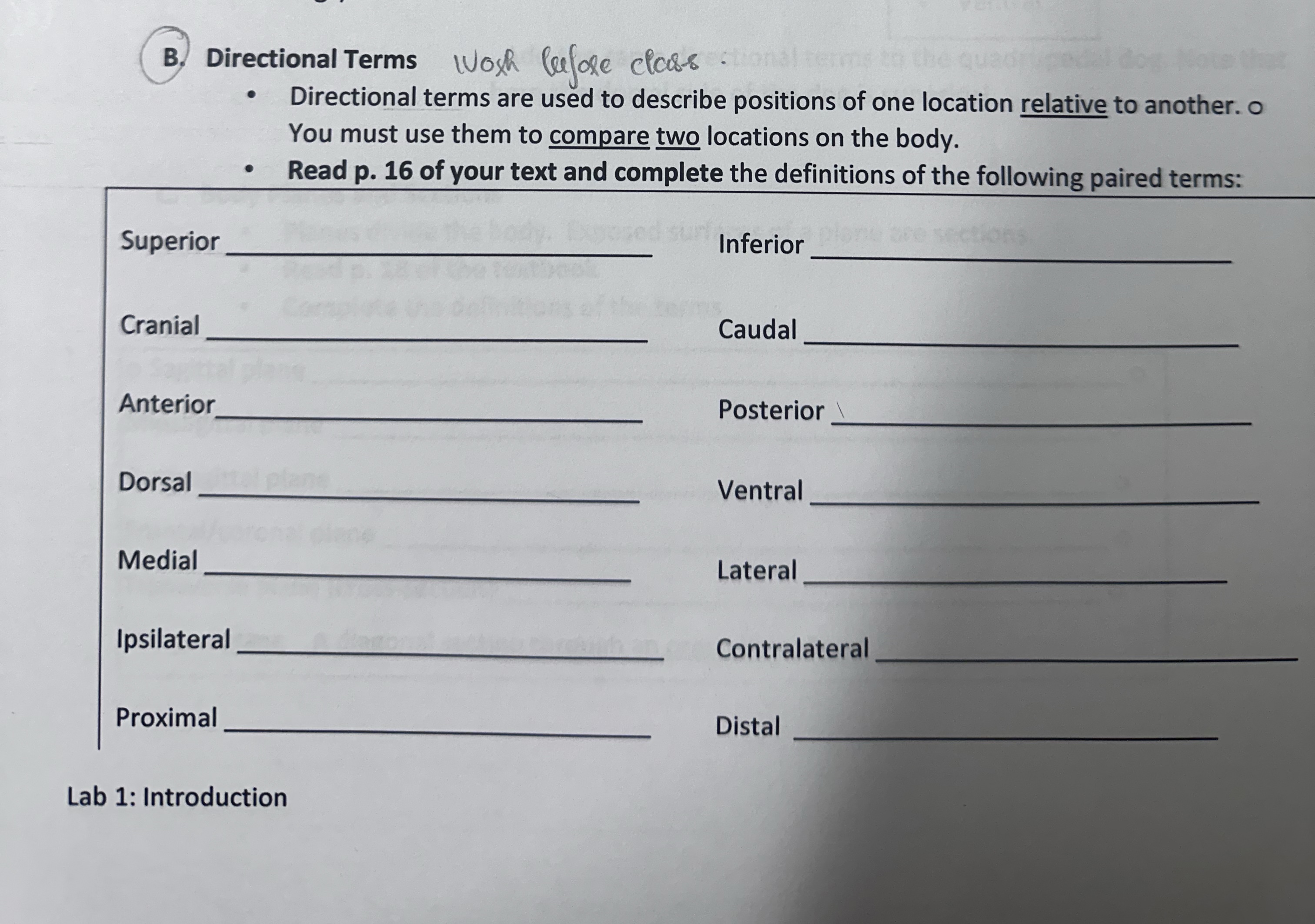 Solved B. ﻿Directional TermsWosh lefose class.Directional | Chegg.com